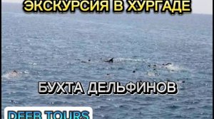 Экскурсия в Хургаде. Бухта дельфинов. Deebtours24.online