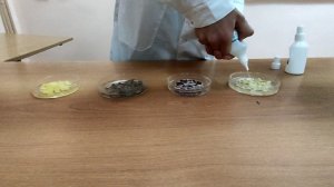 проект на февральскую естественнонаучную программу сириус