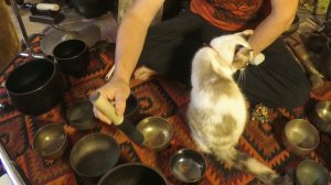 154. Поющие чаши ХРАМОВЫЕ тибетские. КАК ОТЛИЧИТЬ И ПОДОБРАТЬ? ГАРМОНИЗАЦИЯ. ОБУЧЕНИЕ ЗВУКОТЕРАПИИ.