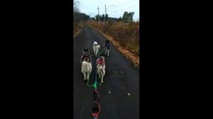 Тренировка 14.10.2022.mp4