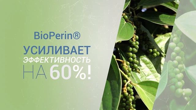 SeaMilk (Морское молоко) - бирюзовый напиток для здоровья суставов и сосудов