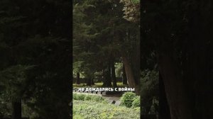 Битва за Кавказ: несломленный хребет | Финальная серия