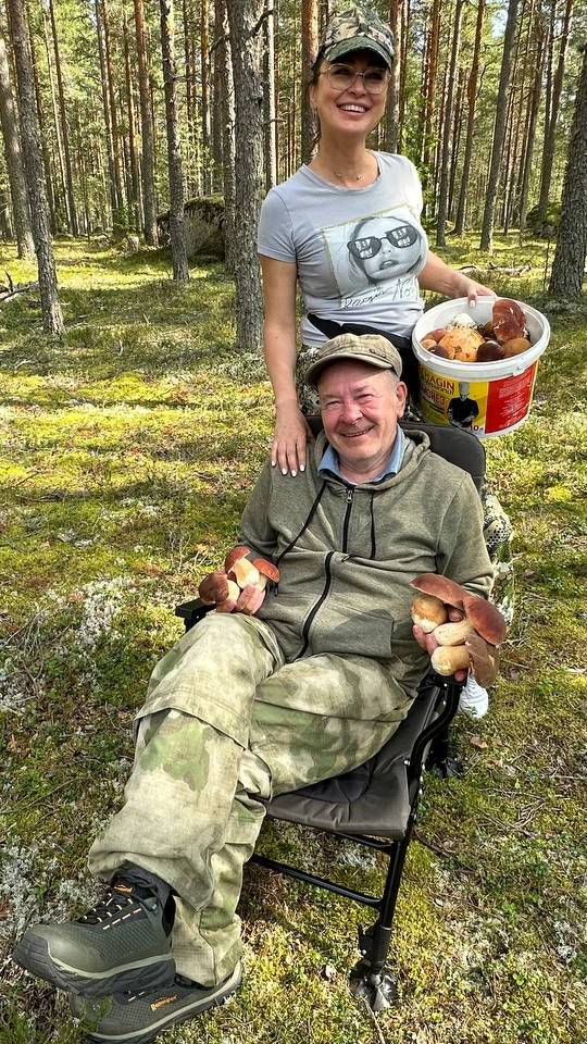 Белый гриб, Боровики. Красивый лес, природа, отдых, красота.