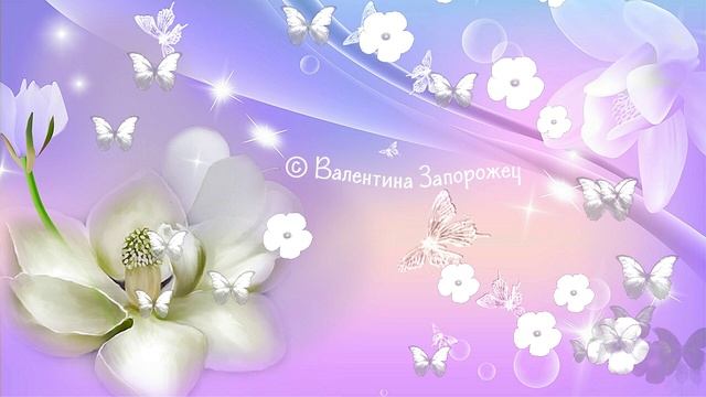 Фон для монтажа видео 34.mp4