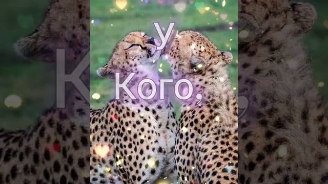 У меня есть ты