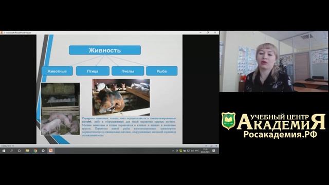сливщик разливщик часть1