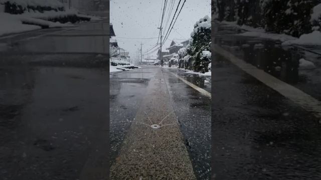 VID_20221220_225432_093.mp4