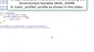 Azul's Zulu OpenJDK 10 Zip Installation in Zorin OS 12