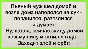 Пьяный Злой Муж, Пила и Сосед! Смешные анекдоты и весёлые истории - ежедневный выпуск! Юмор и смех!