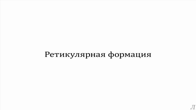 7.2 Эволюция. Ретикулярная формация