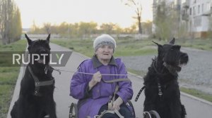 79-летняя бабушка на собаках