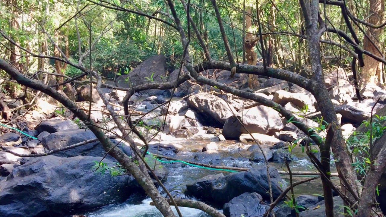 Индия, Гоа, водопад Дудхсагар (Goa, waterfall Dudhsagar)