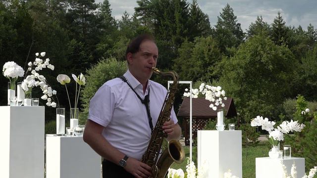 ВАБАНК ПАВЛОВА ПОЛЯНА