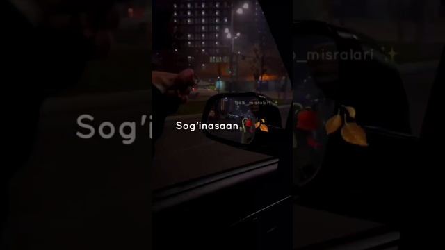 Bir kun sog'inasan