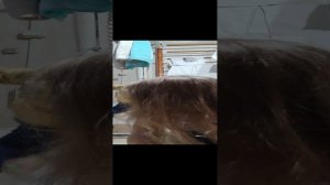 VID_20240203_095459.mp4зарятка с мишай