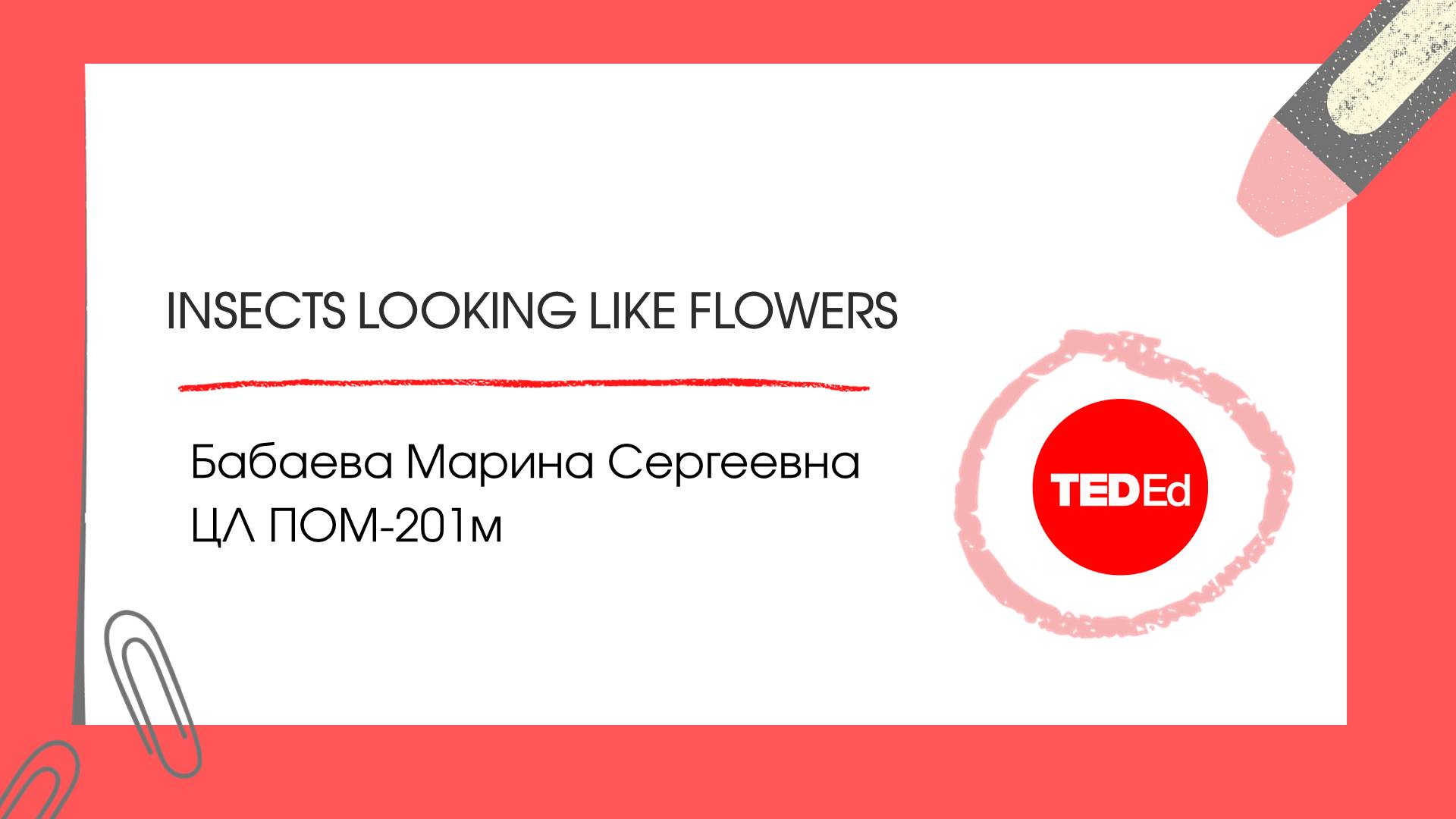 Бабаева М.С., Ted-Ed