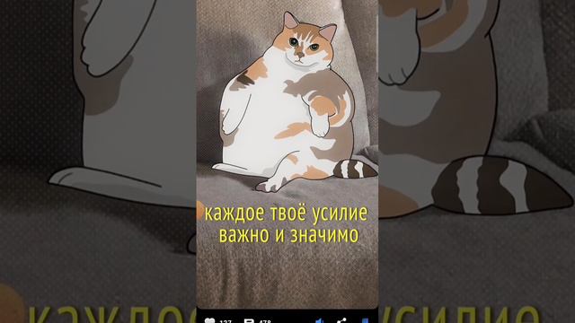 Котики из Т-Банка делятся советами (не реклама Т-Банка)