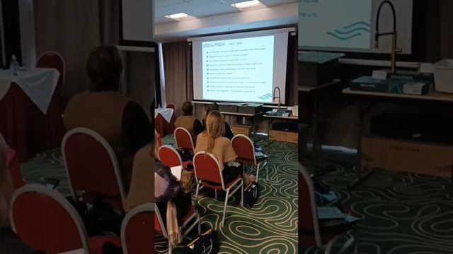 Проверяем на прочность кухонную мойку Paulmark