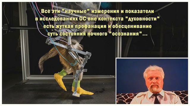 Наука. Религия. Духовность. И "фазовые" обезьяны осознанных сновидений!