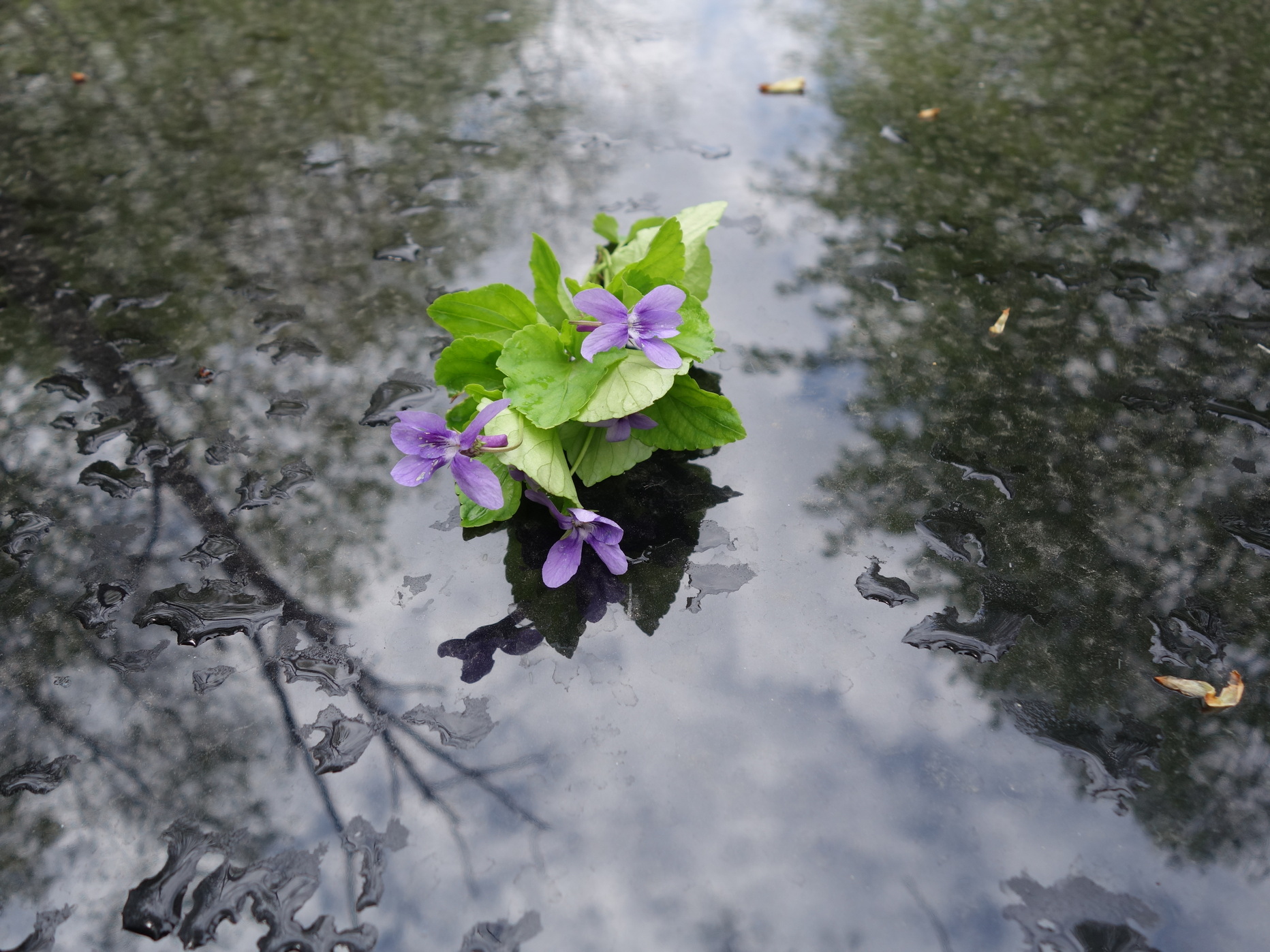 Памятник командиру разведгруппы "Джек" Павлу Андреевичу Крылатых. 30.04 2018г.