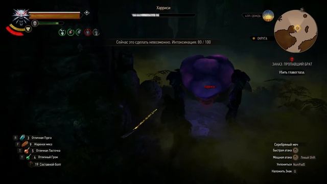 The Witcher 3. Ведьмак VS гловоглаз Харисси (неизвестного уровня)