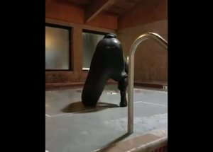 Аквалангист