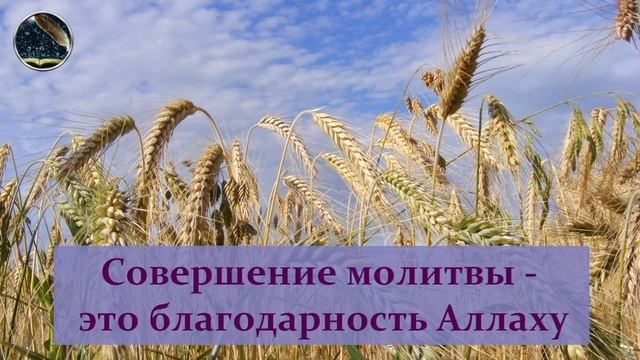 Совершение молитвы - это благодарность Аллаху | Марат абу Зарр