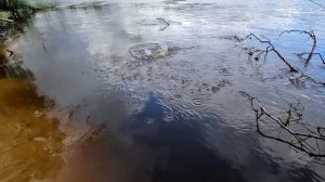 1000048320.mp4