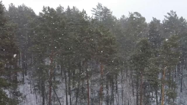 Стихи Евгения Уран  Снежинка на окне   (исп  под гитару С Дуткевич)