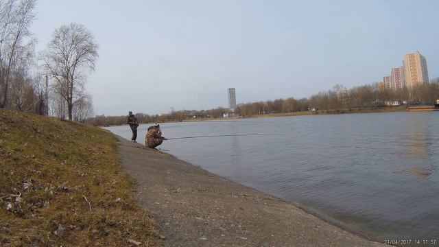 ЛЕТНЯЯ МОРМЫШКА. ВЕСНА. ЦЕНТР МОСКВЫ. КАРАСЬ ИЛИ РОТАН? СЕРЕБРЯНО-ВИНОГРАДНЫЙ ПРУД.