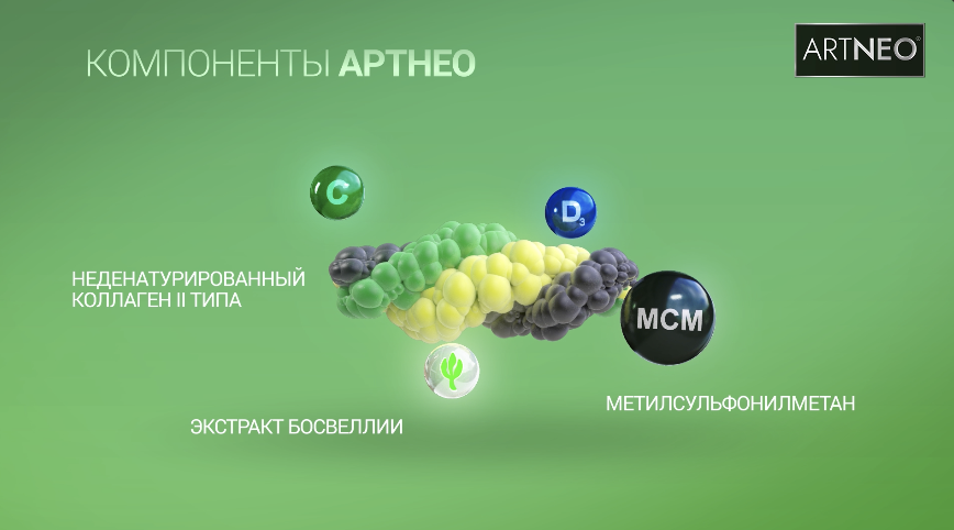 ARTNEOМеханизм действия препарата
