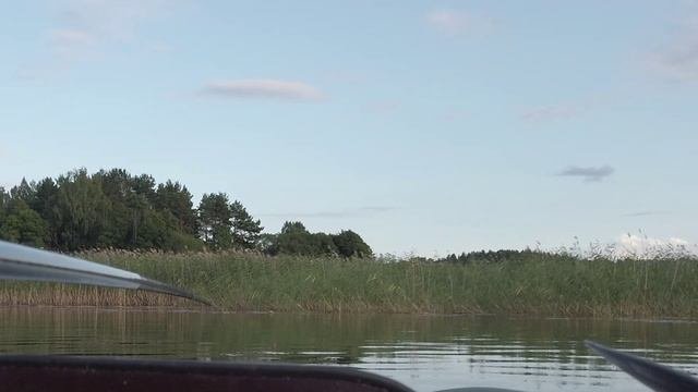 Рыбалка. Чудское озеро 2023