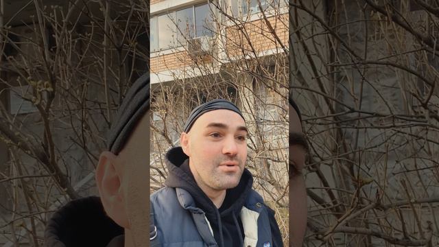 Салатовые почки