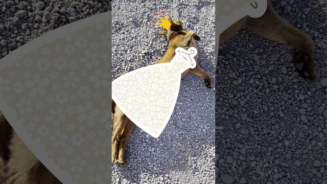 Девочка в бежевом платьеце