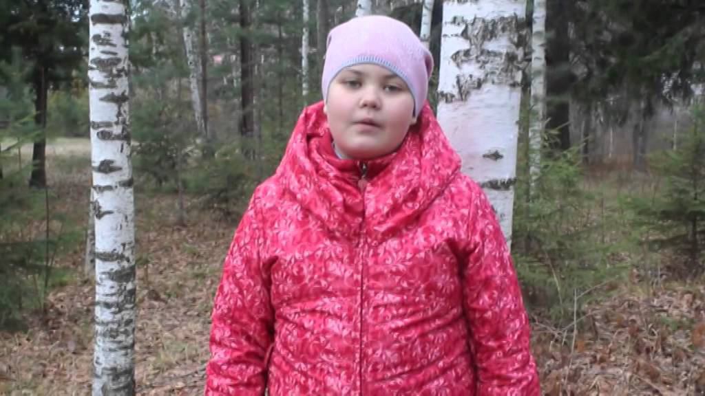 пробник