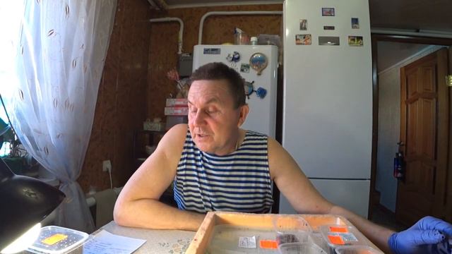 Часть 5. Влияние температуры на выход ювенилов и рост червя.