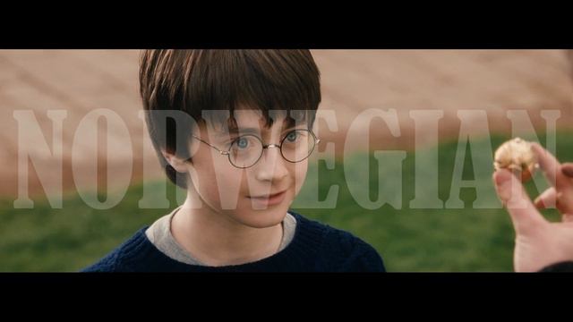 The Golden Snitch (in Different Languages) Harry Potter Multilanguage ...