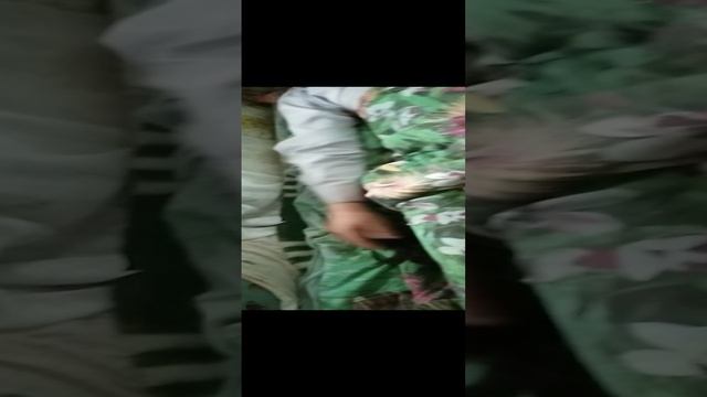 Карточка видео