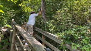 Installing a Low-cost Low-voltage Outdoor Lighting System #1: Tree Lighting for Stairs (revised)