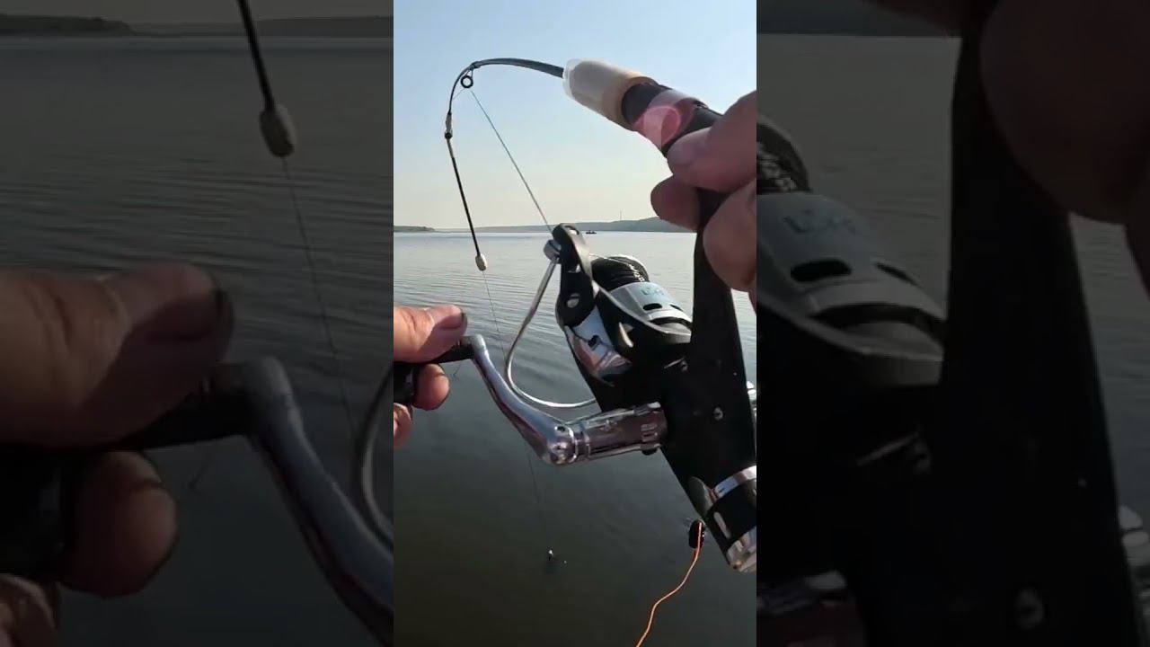#shortvideo #shorts #fishing #рыбалка Лещ с лодки
