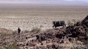 Legged Robot Testing in Desert