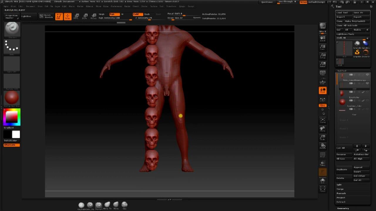 Anat Vol 01 02  Standards