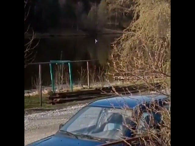 Лебеди на береговой. Троица в светлую седмицу 2021