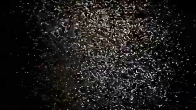 отставные офицеры.mp4