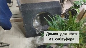 Домик для кота из старого сабвуфера