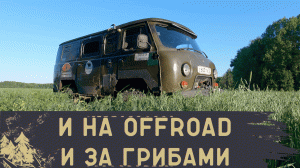 Грибалка и OFFROAD, соединили приятное с полезным!!! #offroad #уаз #СилаСибири #Тобольск #рыбалка