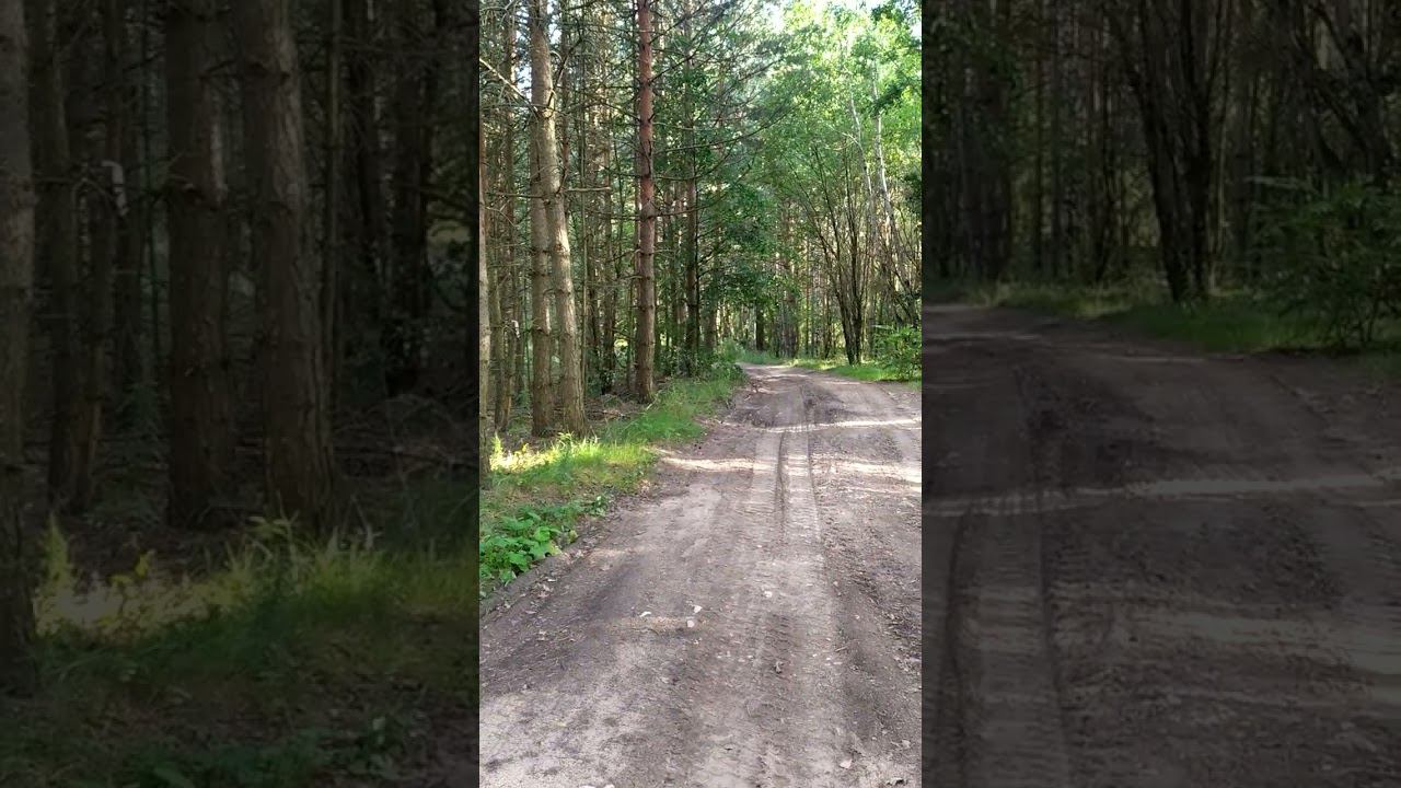 Новое #гениальное всегда гнобят. Слова-паразиты или люди-паразиты. Что хуже?