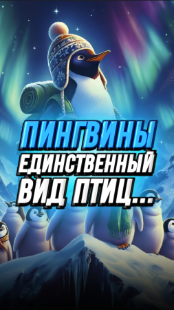 Пингвины - Интересные факты